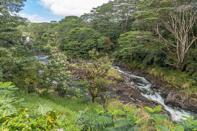 Private Hilo Shore Excursion - Botanical Gardens & Waterfalls - Who This Tour Is Best For