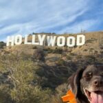 Private Hollywood Sign Hiking Tour with Select Hotel Pickup - Practical Tips for Your Hike