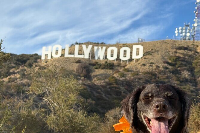 Private Hollywood Sign Hiking Tour with Select Hotel Pickup - Practical Tips for Your Hike