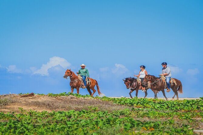 Private Horseback Riding in Cabo San Lucas - The Itinerary in Detail