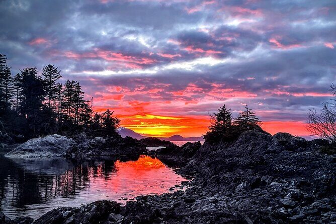 Private Island Experience in Sitka - What Travelers Say and Why It Matters
