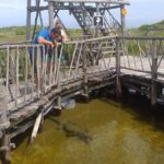 Private Jeep Excursion in Cozumel with Lunch and Snorkeling - Who Will Love This Tour?