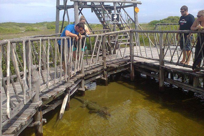 Private Jeep Excursion in Cozumel with Lunch and Snorkeling - Who Will Love This Tour?