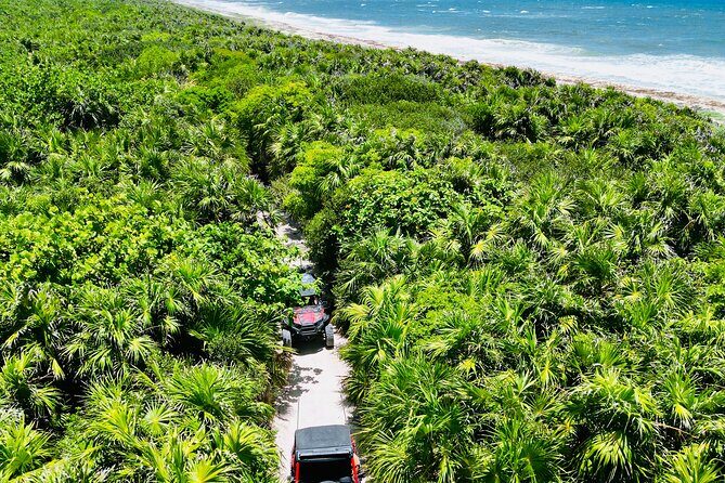 Private Jeep & Polaris RZR: San Gervasio Mayan Ruins & Snorkeling - Authentic Experiences Based on Real Feedback