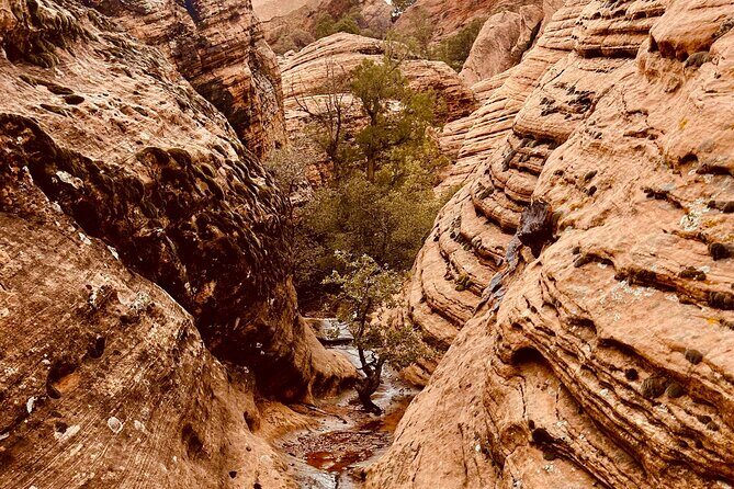Private Jeep Ride to Explore Slot Canyons and Rock Formations - The Value of This Experience