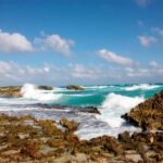 Private Jeep tour to Punta Sur park + snorkel + Lunch - Who Will Love This Experience?