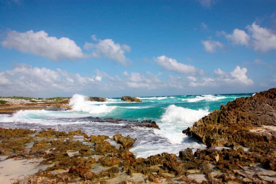 Private Jeep tour to Punta Sur park + snorkel + Lunch - Who Will Love This Experience?