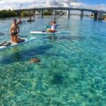 Private Jupiter Island Guided Paddle Boarding Tour - An In-Depth Look at the Tour Experience