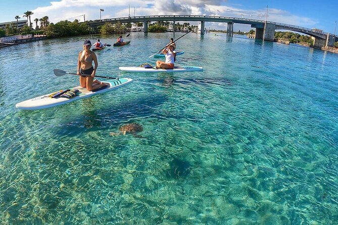 Private Jupiter Island Guided Paddle Boarding Tour - An In-Depth Look at the Tour Experience