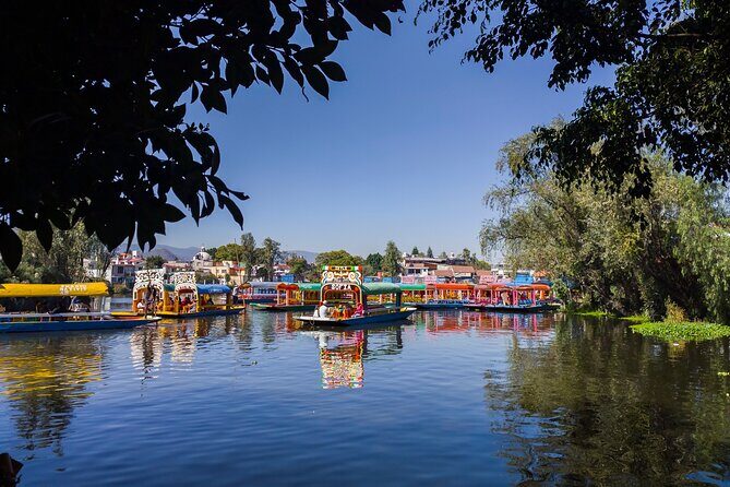 Private kayaks tour in Xochimilco & Cuicuilco pyramid - What We Love and What to Keep in Mind