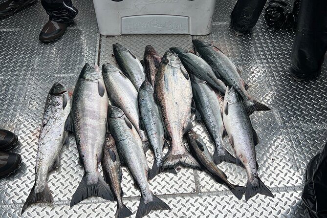 Private Ketchikan Wild Alaskan Salmon Fishing Trip - The Fish, the Views, and the Experience