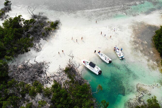 Private Key West Fishing & Sandbar or Snorkel Charter - What to Expect on the Day