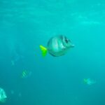 Private Los Cabos Arch & Playa del Amor tour by Glass bottom kayak - The Itinerary: What to Expect