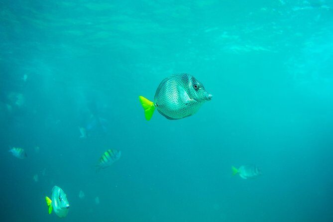 Private Los Cabos Arch & Playa del Amor tour by Glass bottom kayak - The Itinerary: What to Expect