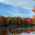 Private Montreal Car Tour with History and Hidden Gems - Analyzing the Itinerary in Detail