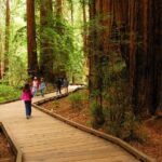 Private Muir Woods, Sausalito, and Marin Headlands Tour - Value and Practical Tips