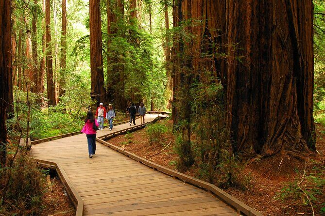 Private Muir Woods, Sausalito, and Marin Headlands Tour - Value and Practical Tips