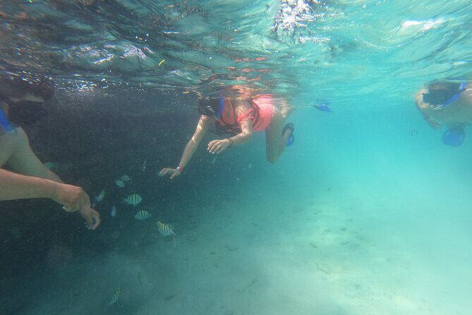 Private MUSA Snorkeling Experience at Isla Mujeres and Cancun - The Journey Begins: From Land to Water