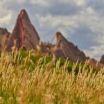 Private Nature Tour for Couples - The Itinerary and Landscape