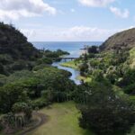 Private North Shore Oahu Tour ft. Waimea Falls-Customizable - Waimea Valley: A Cultural and Natural Treasure