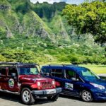 Private North Shore of Oahu Tour - Why This Tour Excels
