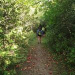 Private Nottawasaga Bluffs Caves Hiking Tour,Collingwood/Creemore - Who Should Consider This Tour?