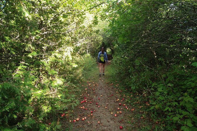 Private Nottawasaga Bluffs Caves Hiking Tour,Collingwood/Creemore - Who Should Consider This Tour?