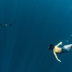 Private Ocean Seafari Swim with Wildlife in SJC - The Guides and Environmental Focus