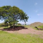 Private One Day Tour in Los Guachimontones and José Cuervo Tequila - Time in Tequila Town