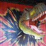 Private One way Transfer Waikiki Hotel and Kualoa Ranch - What Travelers Can Expect