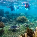 Private (only you) Reef Snorkeling in Puerto Morelos 2x40 minutes - Who Should Book This Tour