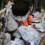 Private or Shared Temazcal Unique Mayan Ritual from Cancun - Authentic Reviews: What Travelers Say