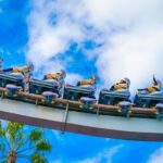 Private Orlando Airport (MCO) to Hotels Transfer by Sprinter Van up to 14 PX - Practical Tips for Using This Transfer