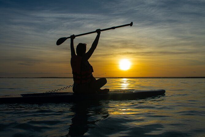 Private Paddle Tour at Sunrise - Authentic Reviews and What Travelers Say