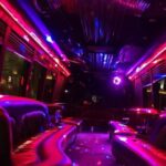 Private Party Bus Tour in Las Vegas - A Closer Look at the Private Party Bus Experience