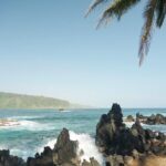 Private Road to Hana Rainforest & Waterfall Experience from Maui - Who Is This Tour Best For?