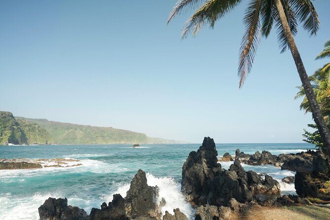 Private Road to Hana Rainforest & Waterfall Experience from Maui - Who Is This Tour Best For?