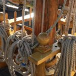 Private Sailing Tour -2 Hour (Up to 12 Passengers) - A Full Breakdown of the Sailing Experience