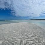 Private Sandbar Adventure in the Key West Backcountry - The Value of a Private Tour