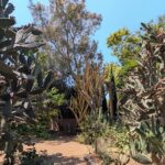 Private Scavenger Hunt in San Juan Capistrano Tour - Why This Tour Works Well