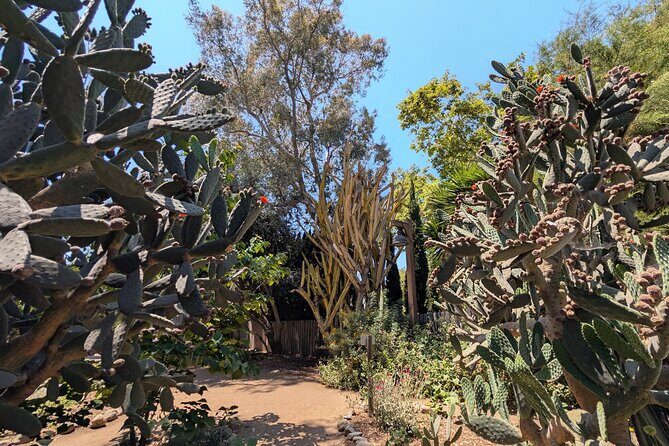 Private Scavenger Hunt in San Juan Capistrano Tour - Why This Tour Works Well