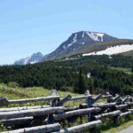 Private Scenic Turnagain Arm Glacier Tour from Anchorage - What’s Included & What’s Not