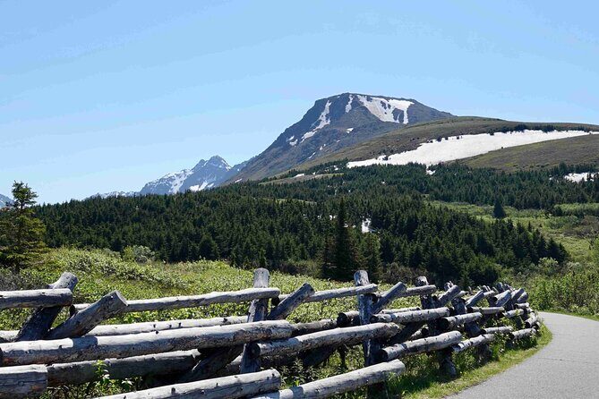 Private Scenic Turnagain Arm Glacier Tour from Anchorage - What’s Included & What’s Not