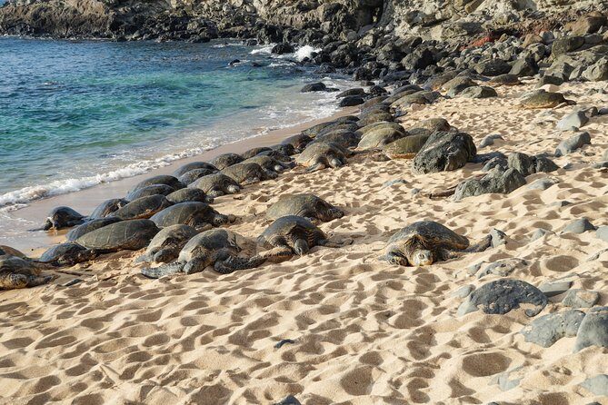 Private Shore Excursion: Best Highlights of Maui - In-Depth Look at the Itinerary