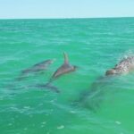Private Sian Kaan Biosphere Tour - A Close Look at the Tour Itinerary