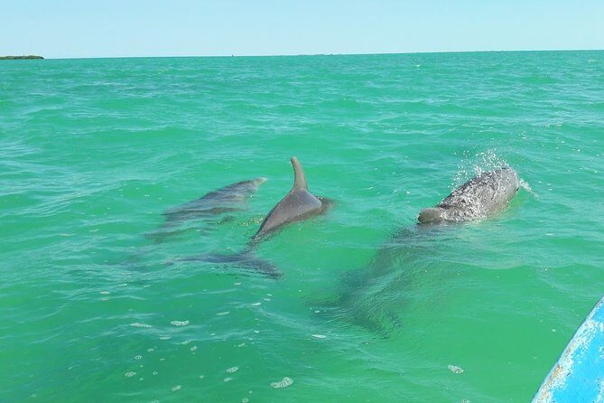 Private Sian Kaan Biosphere Tour - A Close Look at the Tour Itinerary