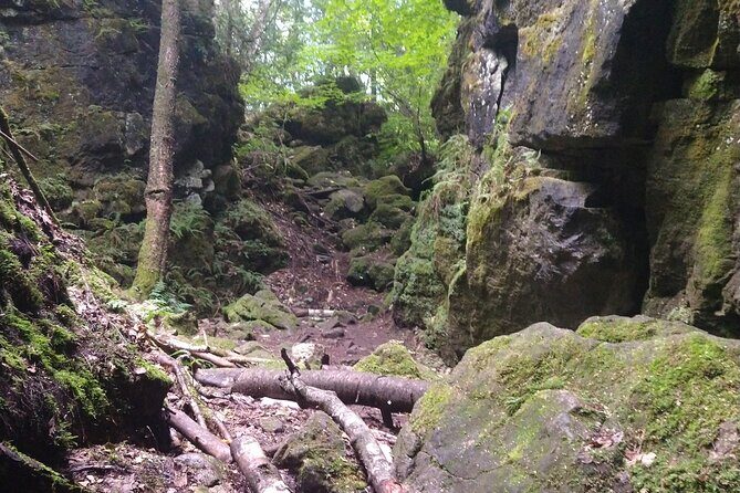 Private Singhampton Caves Hiking Tour, Collingwood/Blue Mountain - The Sum Up: The Value of a Private Ontario Adventure