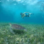 Private SNORKEL AND ISLA MUJERES Tour for GROUPS & FAMILIES - The Value of This Tour