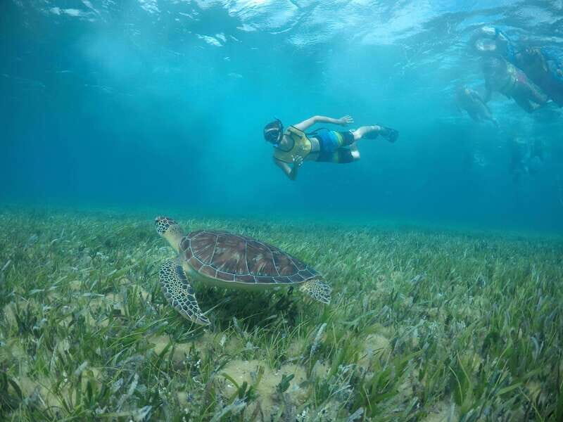 Private SNORKEL AND ISLA MUJERES Tour for GROUPS & FAMILIES - The Value of This Tour