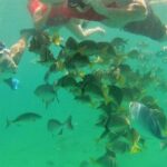 Private Snorkel Cruise in Cabo San Lucas - The Itinerary and What to Expect